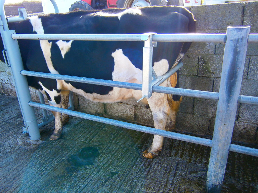 Anti-Backing Crush Bar Universal – Gilligan sales